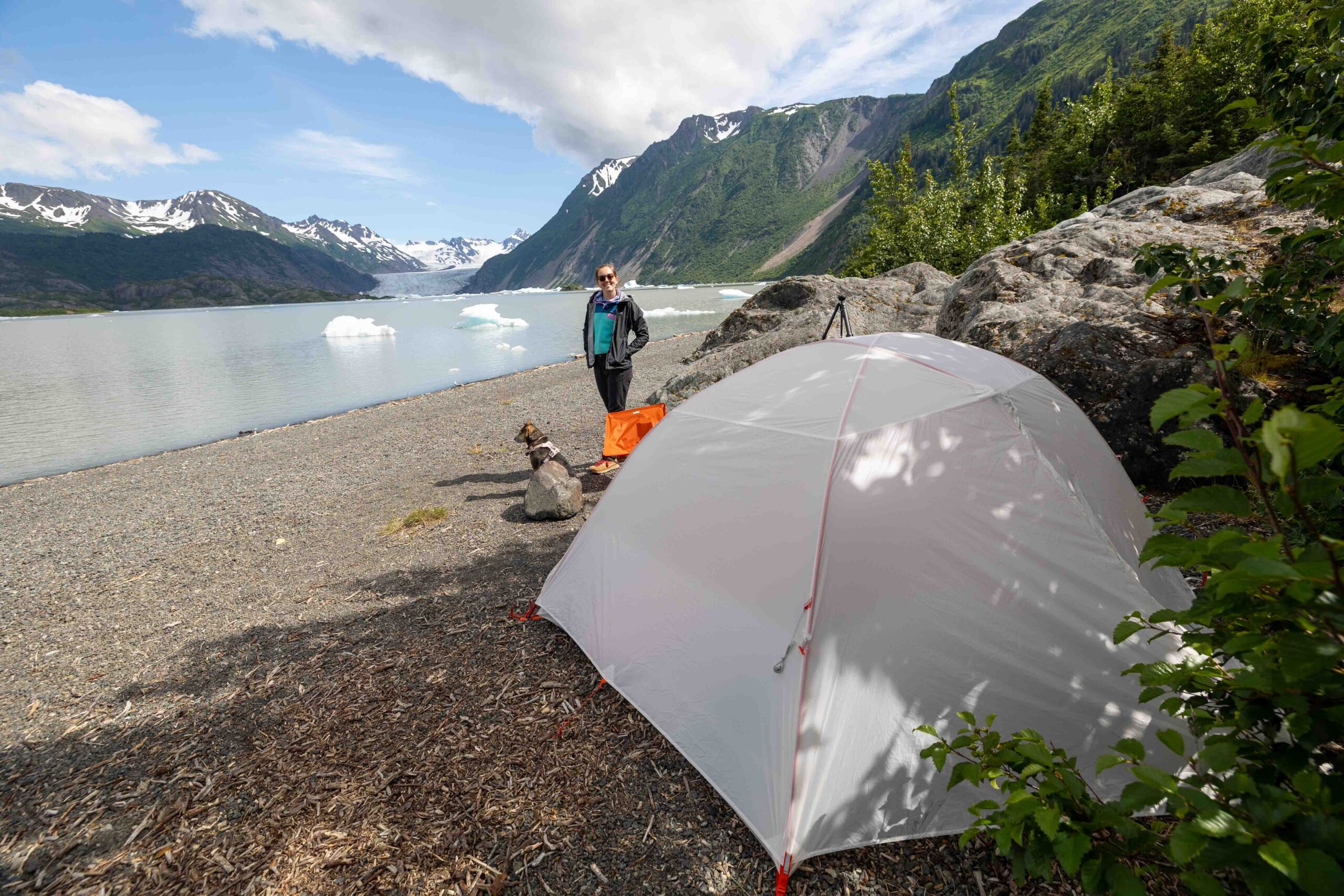 The BEST Camping Spots in Homer, Alaska (Tents, Vans, & RVs)