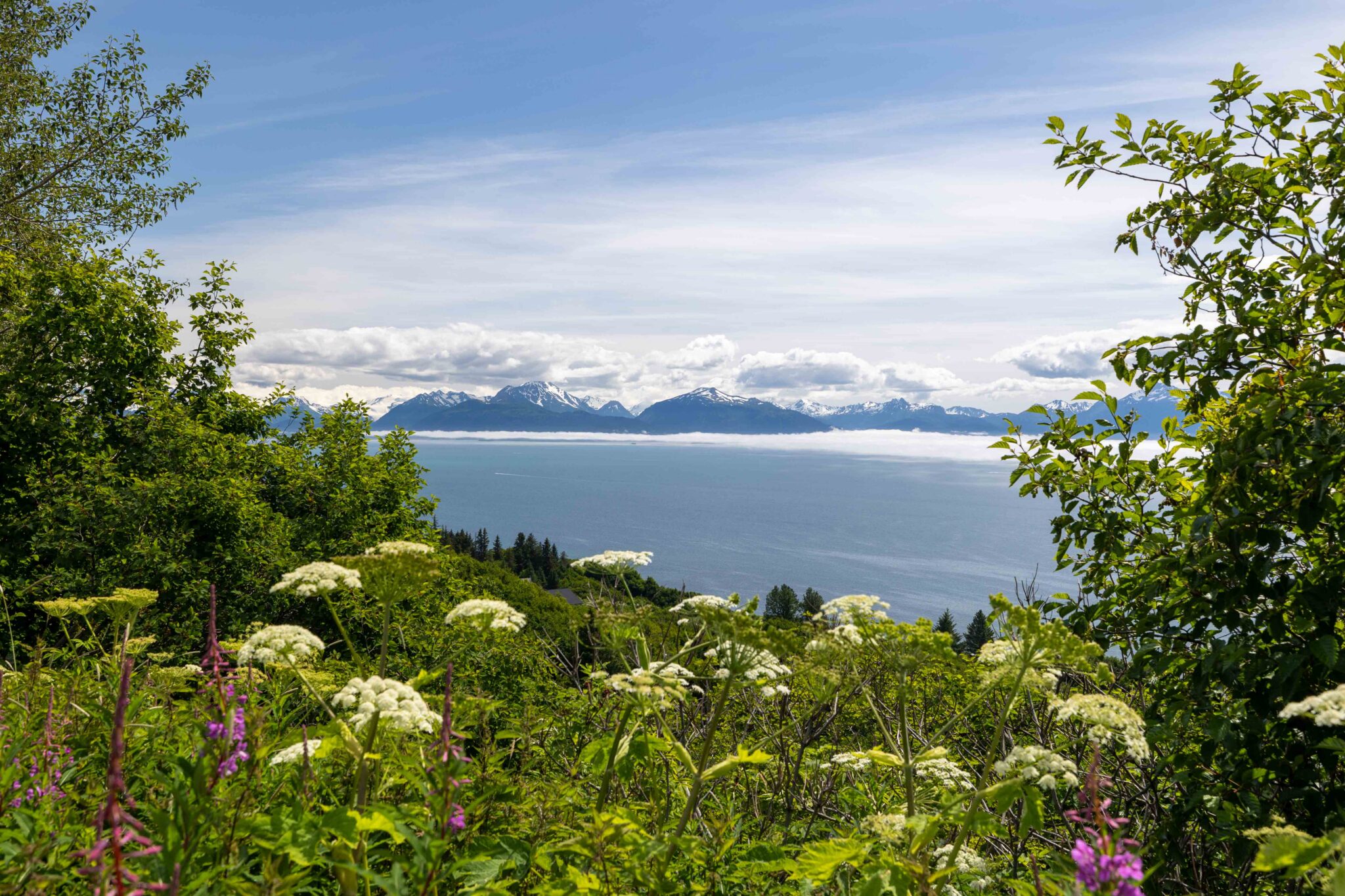 The BEST Camping Spots in Homer, Alaska (Tents, Vans, & RVs)