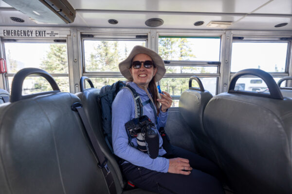 Denali National Park Buses: Everything You Need to Know