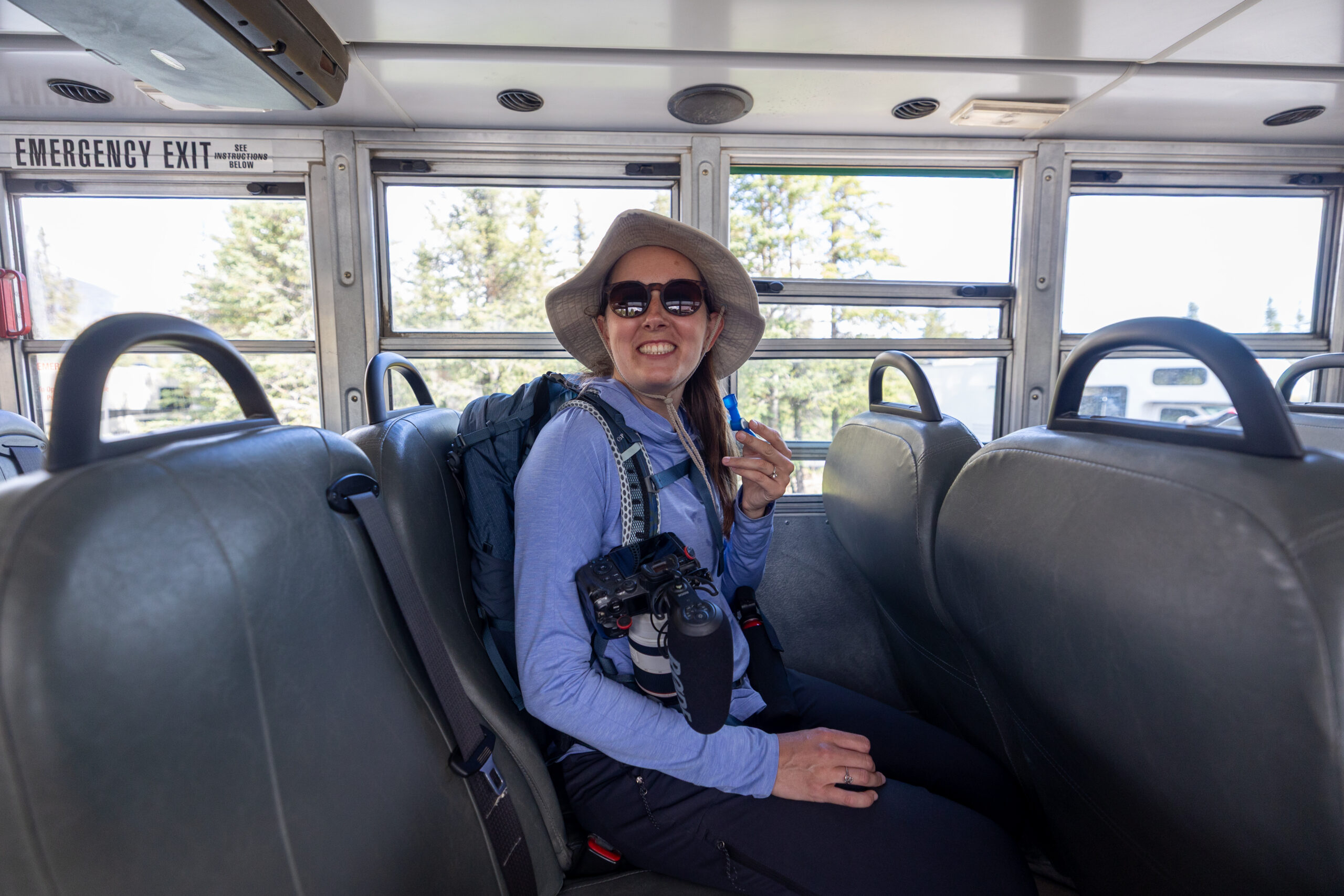 Denali National Park Buses: Everything You Need to Know