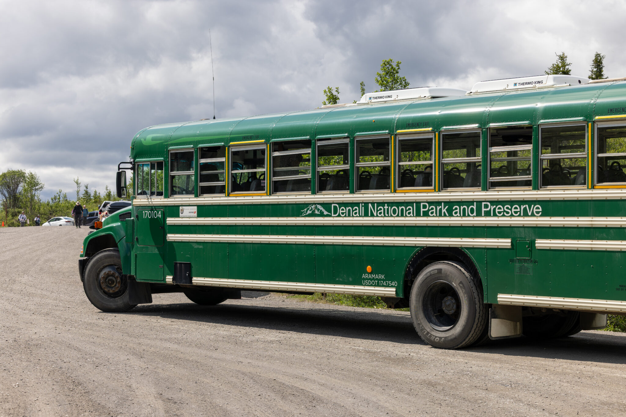 Denali National Park Buses: Everything You Need to Know