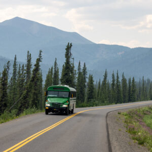 Denali National Park Buses: Everything You Need to Know