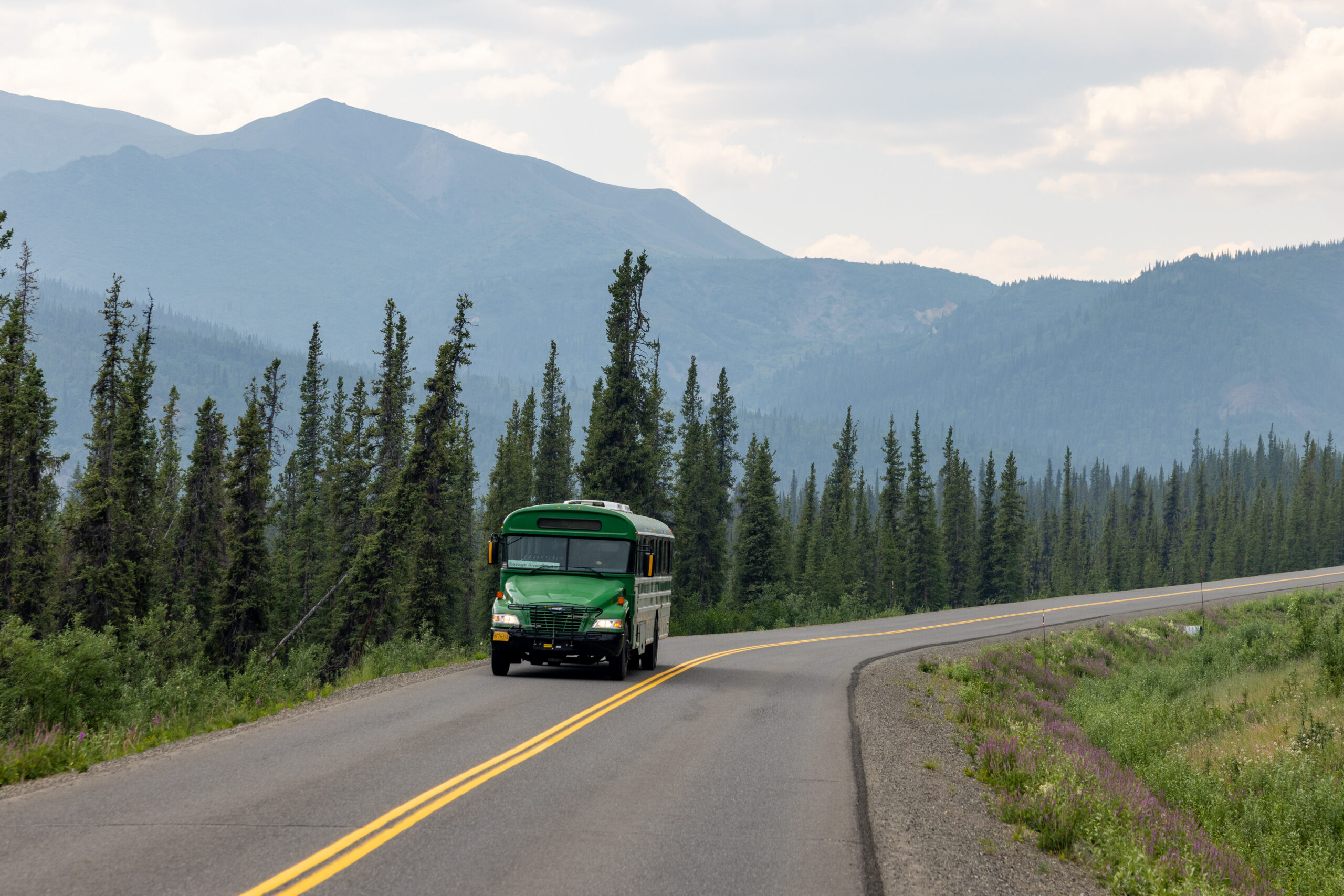 Denali National Park Buses: Everything You Need to Know