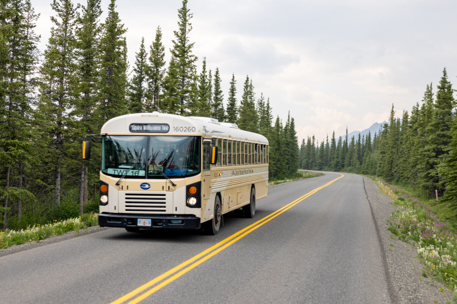 Denali National Park Buses: Everything You Need to Know