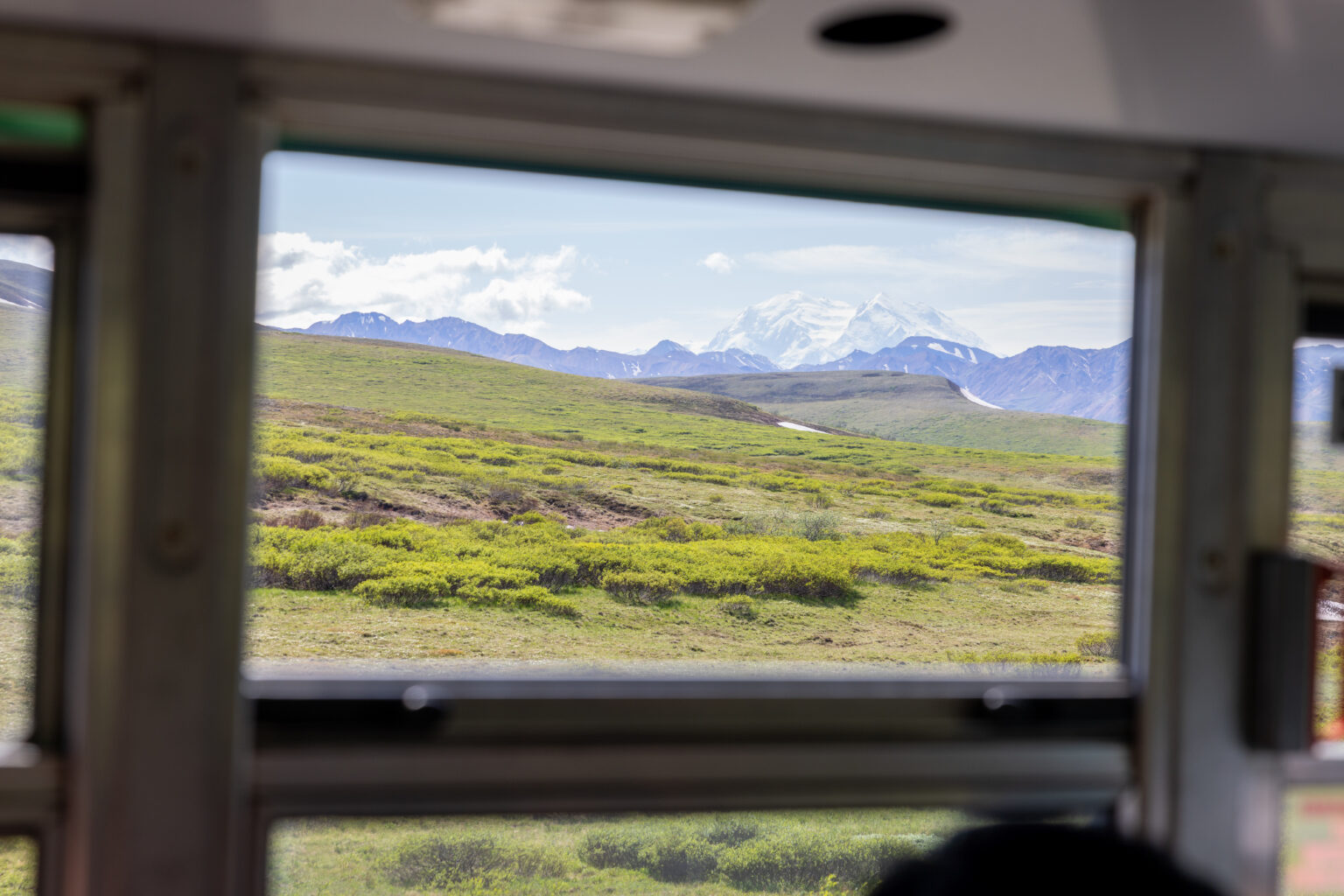 Denali National Park Buses: Everything You Need to Know