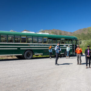 Denali National Park Buses: Everything You Need to Know