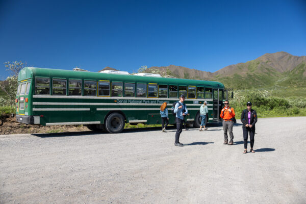 Denali National Park Buses: Everything You Need to Know