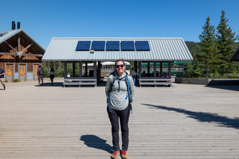 Denali National Park Buses: Everything You Need to Know