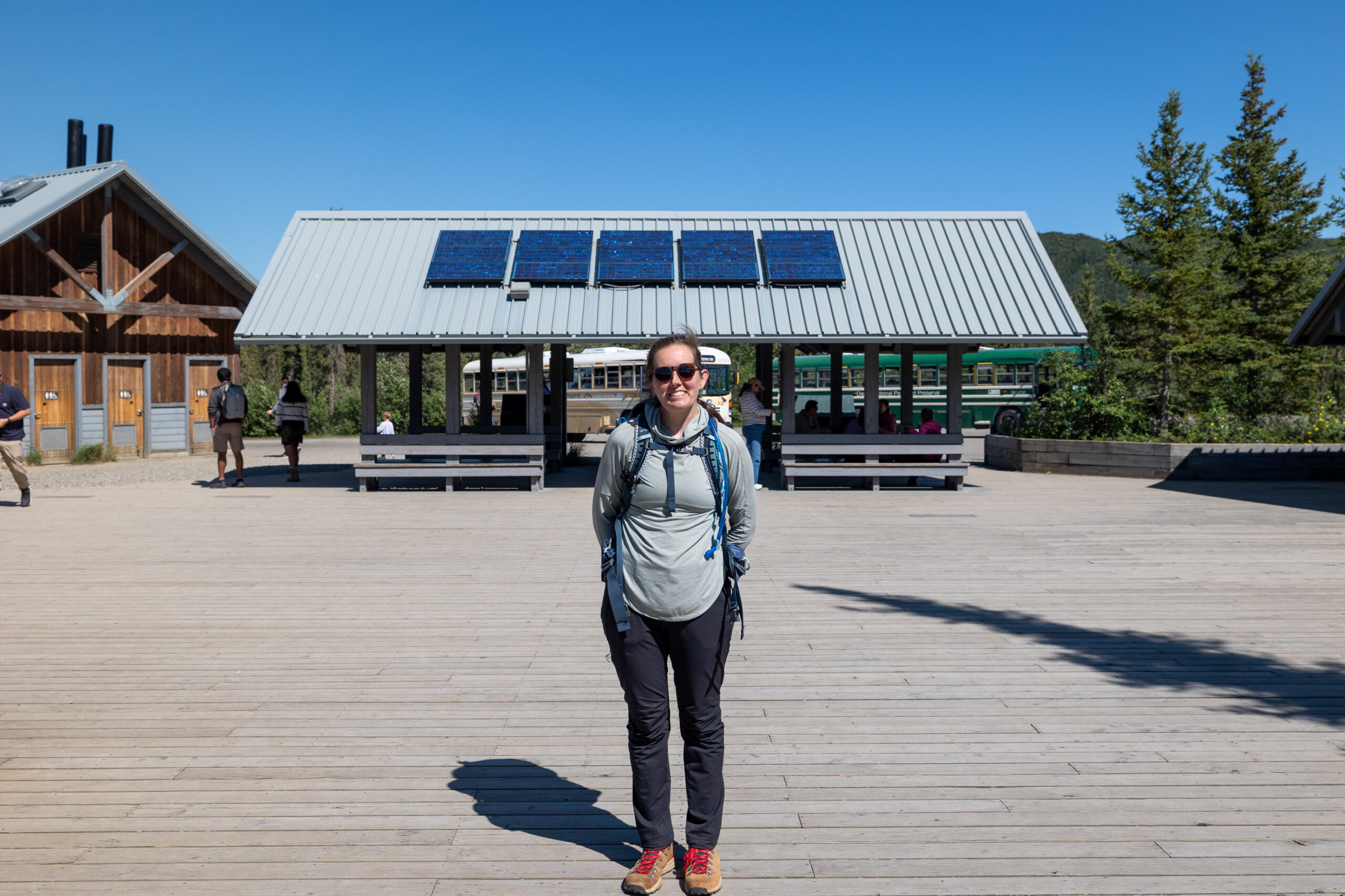 Denali National Park Buses: Everything You Need to Know