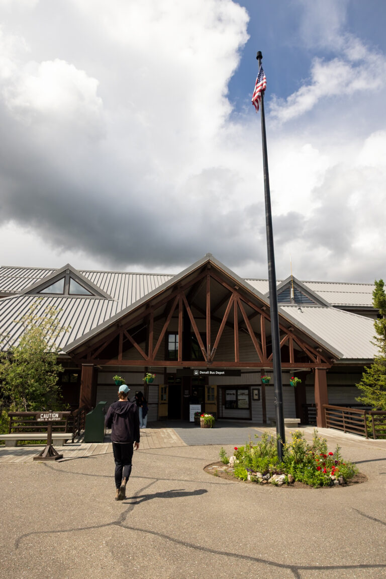 Denali National Park Buses: Everything You Need to Know