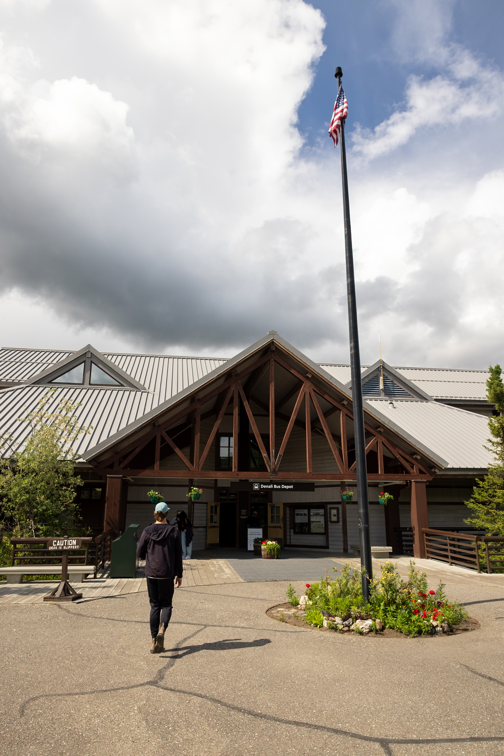 Denali National Park Buses: Everything You Need to Know