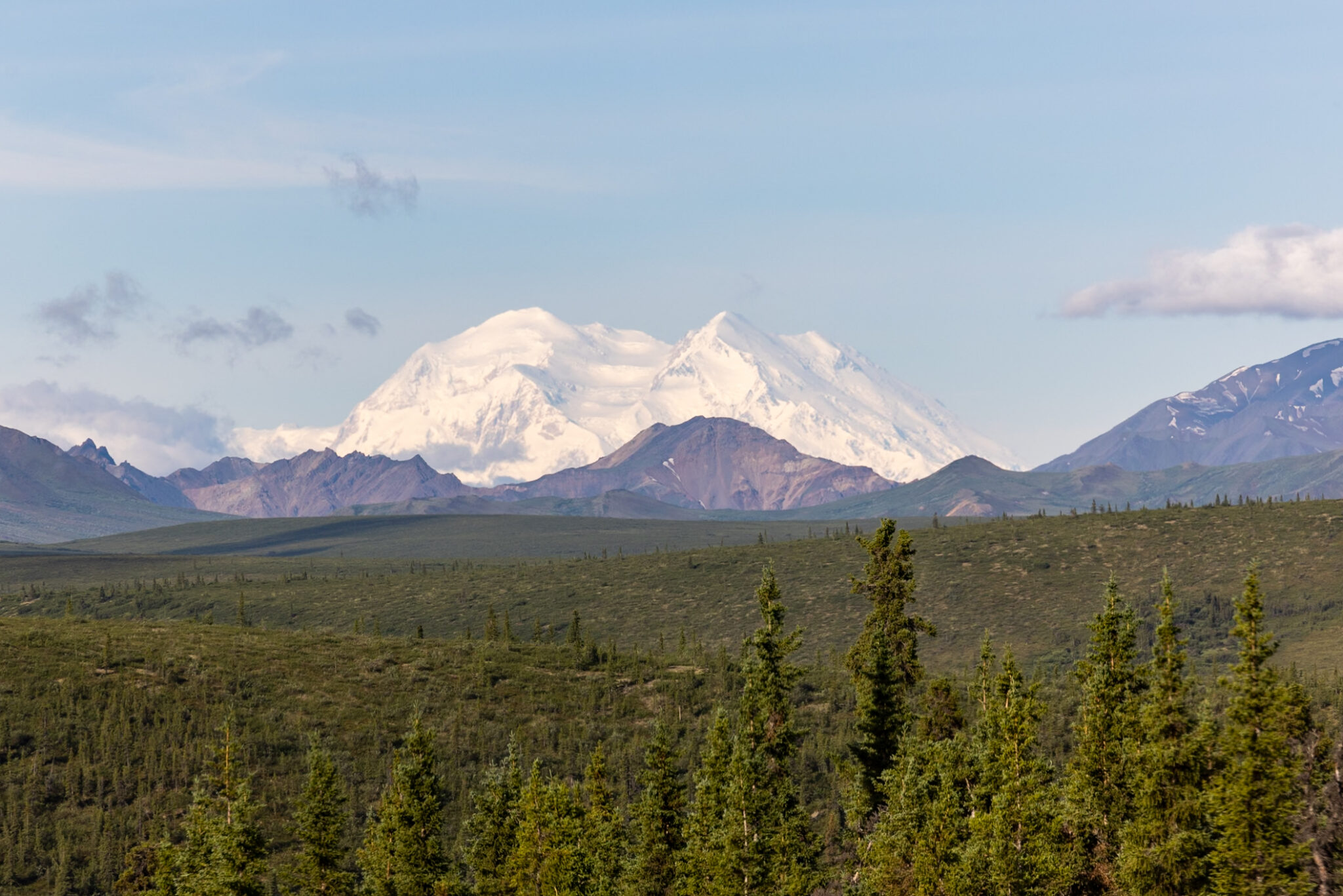 What to Bring to Denali National Park: Ultimate Packing List
