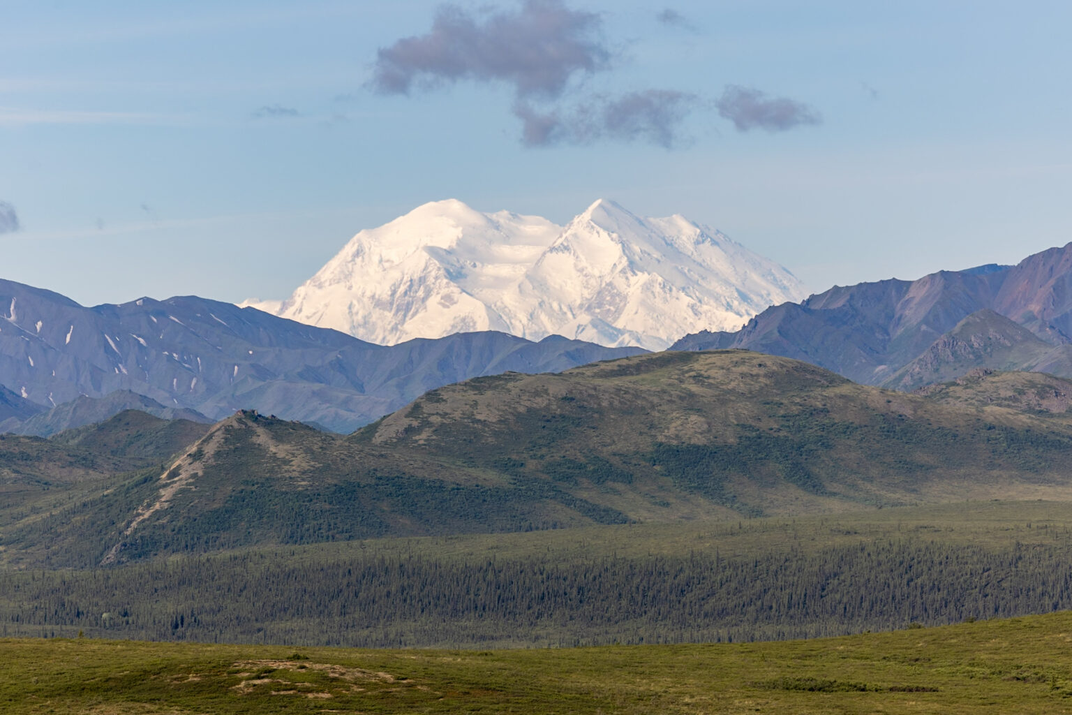 Our 7 Favorite Hikes in Denali National Park, Alaska