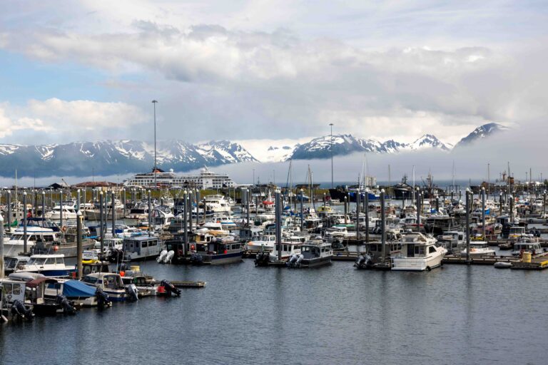 15 Best Things to Do in Homer, Alaska (Free & Paid)