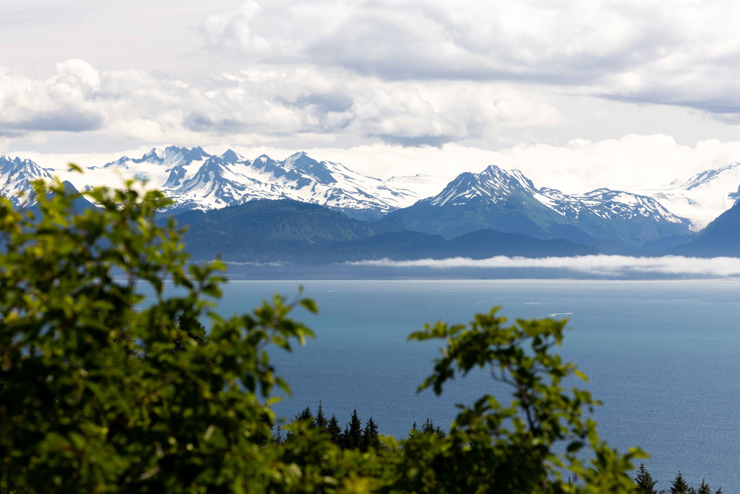 15 Best Things to Do in Homer, Alaska (Free & Paid)