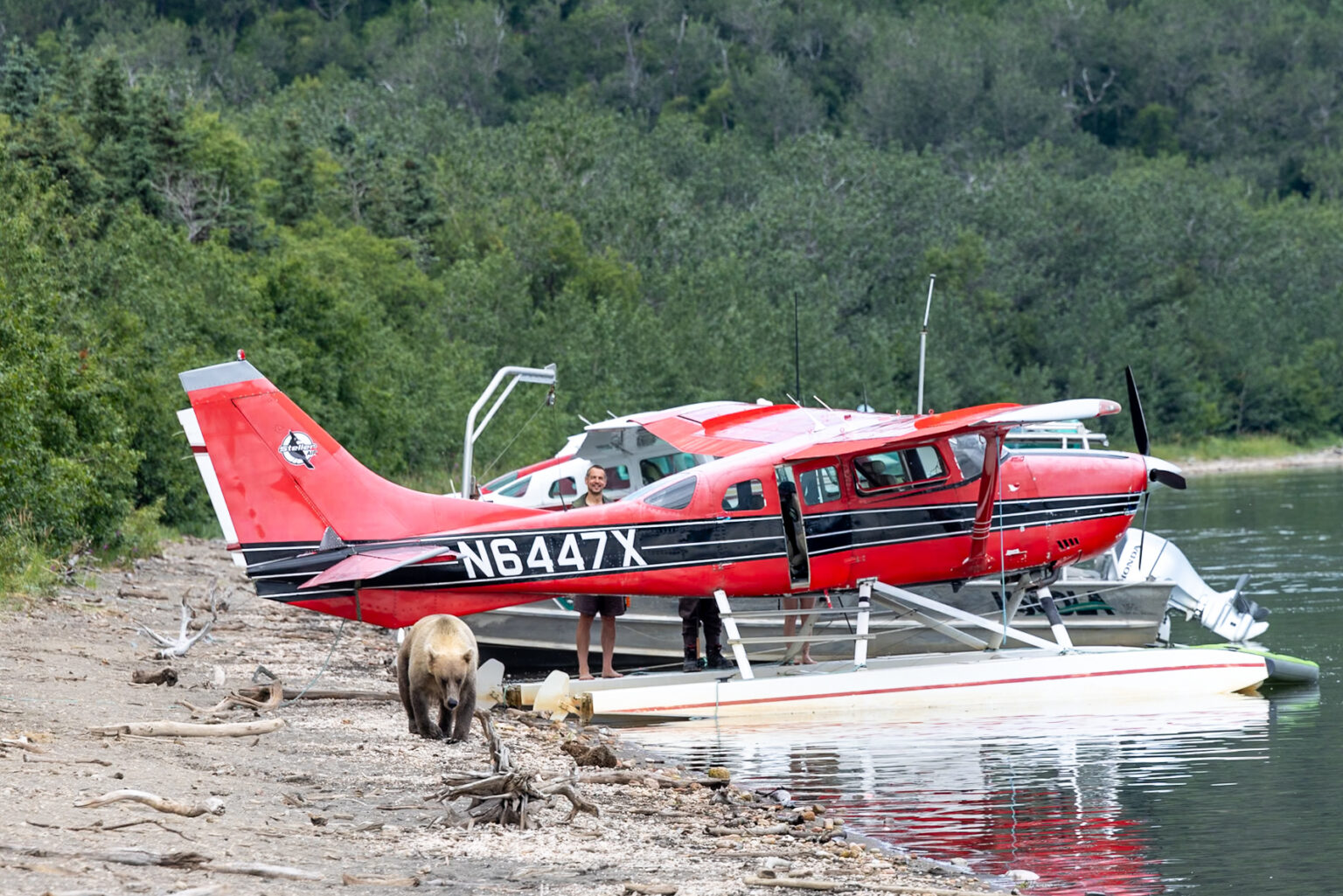 How to Get to Katmai National Park: Step-by-Step