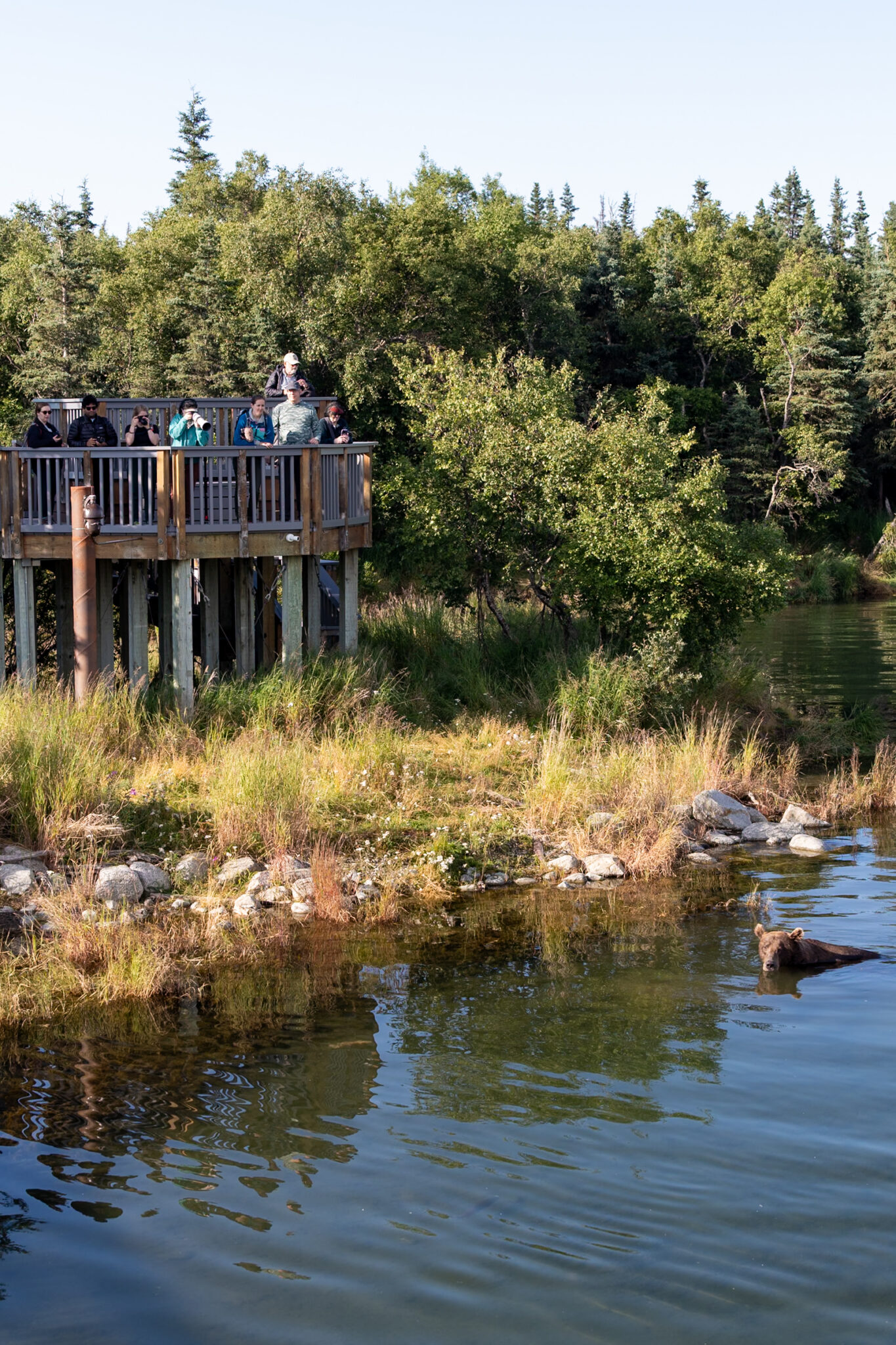 The 9 Best Things to Do in Katmai National Park (Free & Paid)
