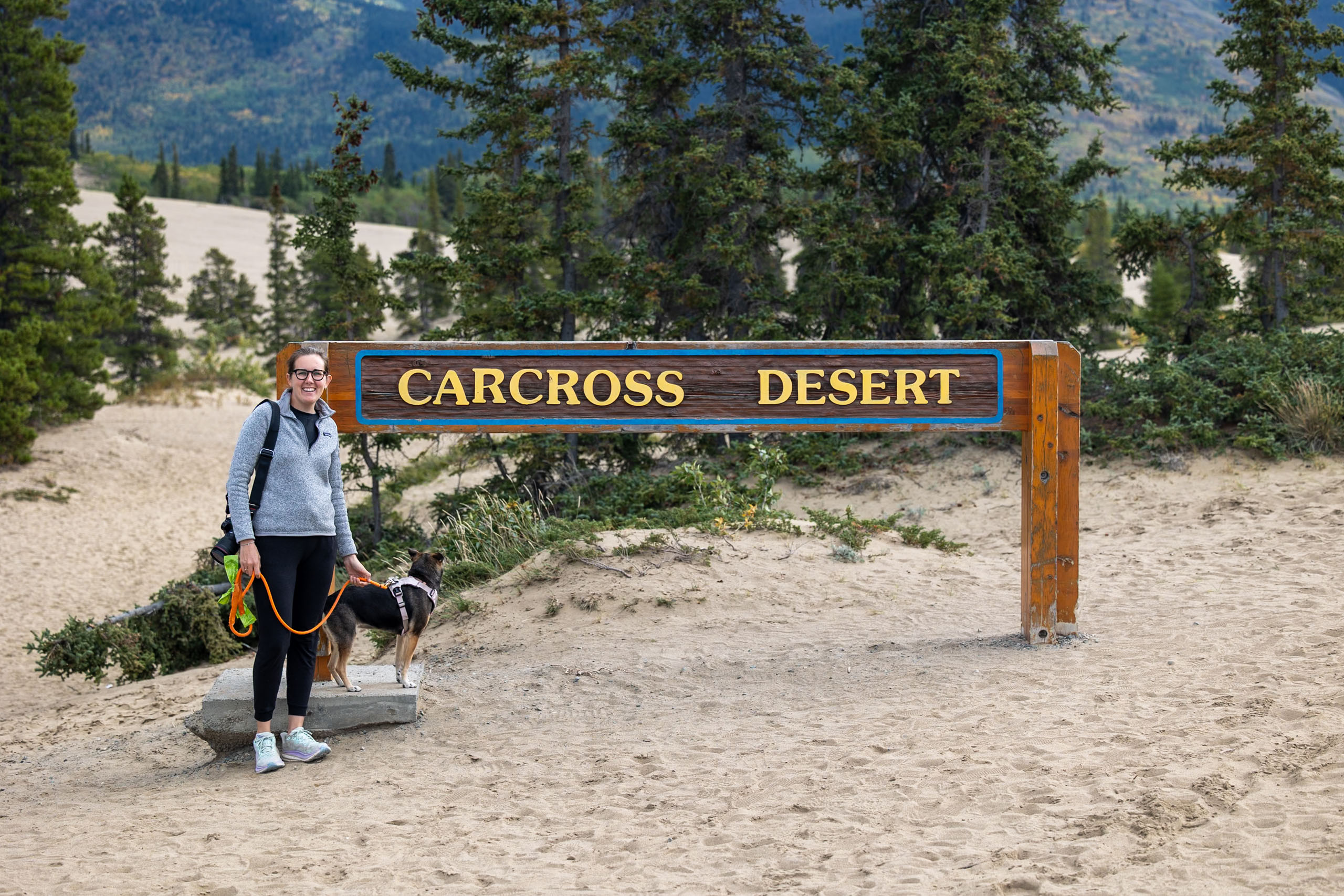 The 3 Routes for Driving to Alaska in Your Car