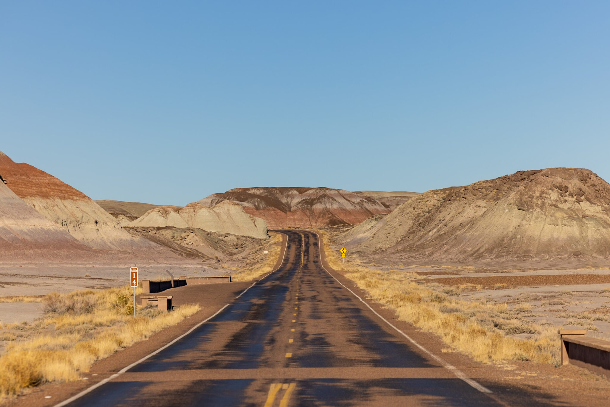 11 Best Things to Do in Petrified Forest National Park (Free & Paid)