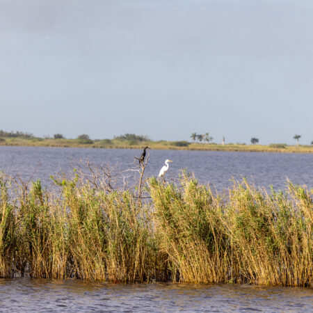 Ultimate Guide to the Okeechobee Waterway | Scho & Jo