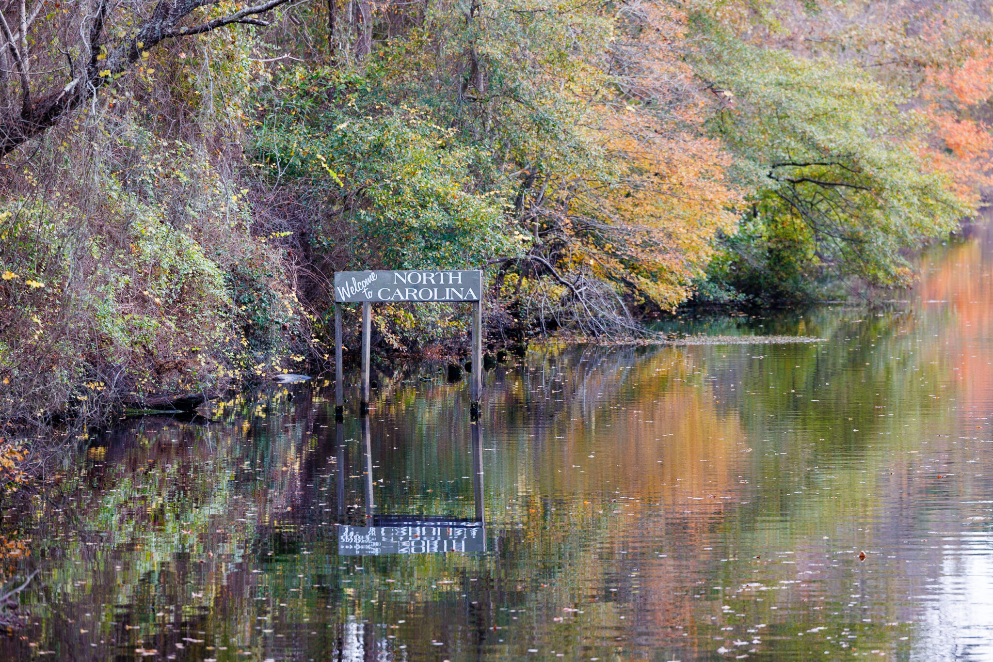A Detailed Guide to Boating the Dismal Swamp Canal | Scho & Jo