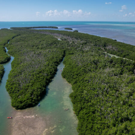 The Best Kayaking and Paddleboarding in the Florida Keys: Tours, Spots ...