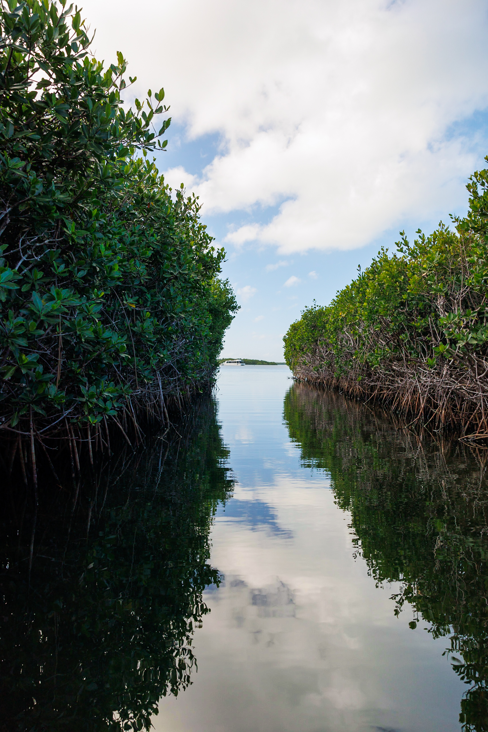 The Best Kayaking and Paddleboarding in the Florida Keys: Tours, Spots ...