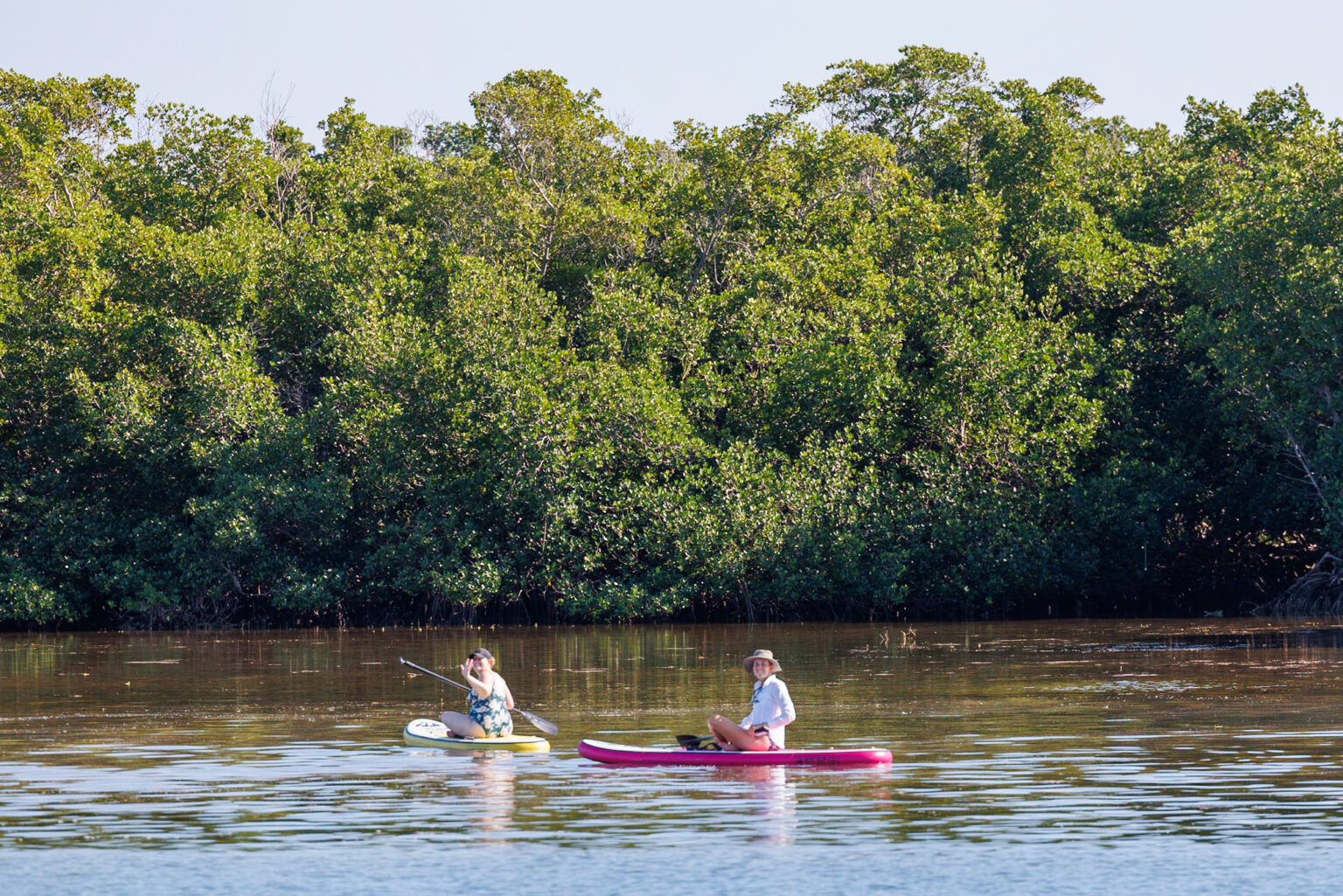 The Best Kayaking and Paddleboarding in the Florida Keys: Tours, Spots ...