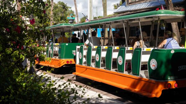 Everything You NEED to Know About the St. Augustine Trolley Tours
