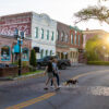 11 Must-Try Activities in Fernandina Beach FL: A Quick Guide