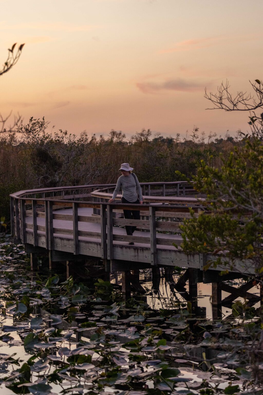 The Ultimate Travel Guide to Everglades National Park | Scho & Jo