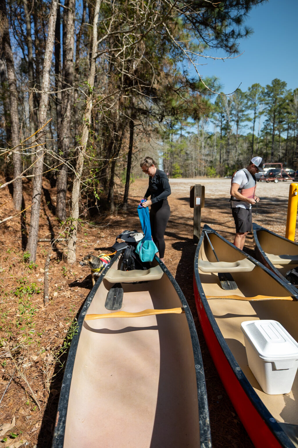 How to Kayak Cedar Creek: Congaree National Park Kayak Guide