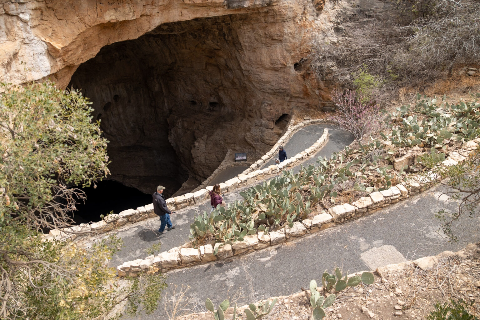 1 Day in Carlsbad Caverns: Itinerary and Ultimate Guide | Scho & Jo