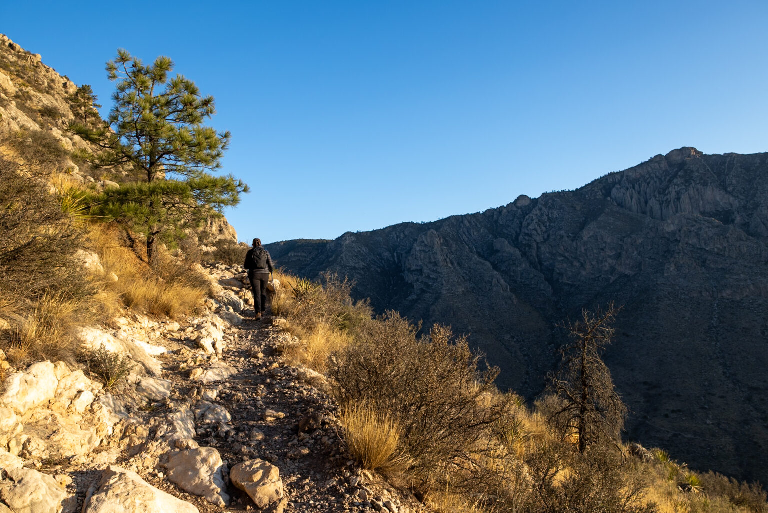 3 Days in Guadalupe Mountains: Itinerary & Ultimate Guide