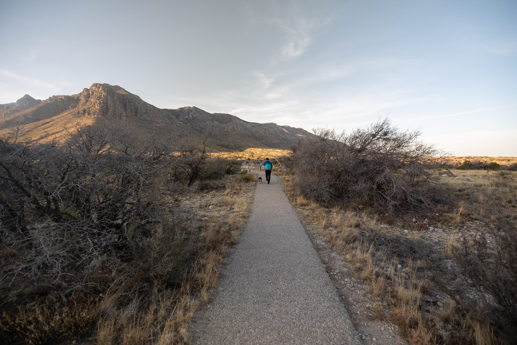 Top 7 Hikes in Guadalupe Mountains National Park | Scho & Jo