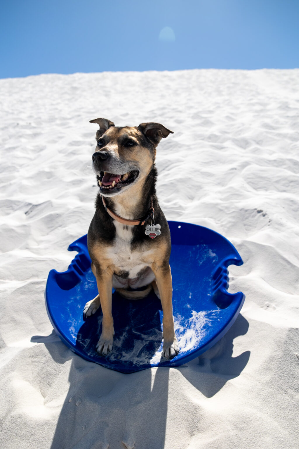 How to Sand Sled in White Sands National Park in 2025 | Scho & Jo