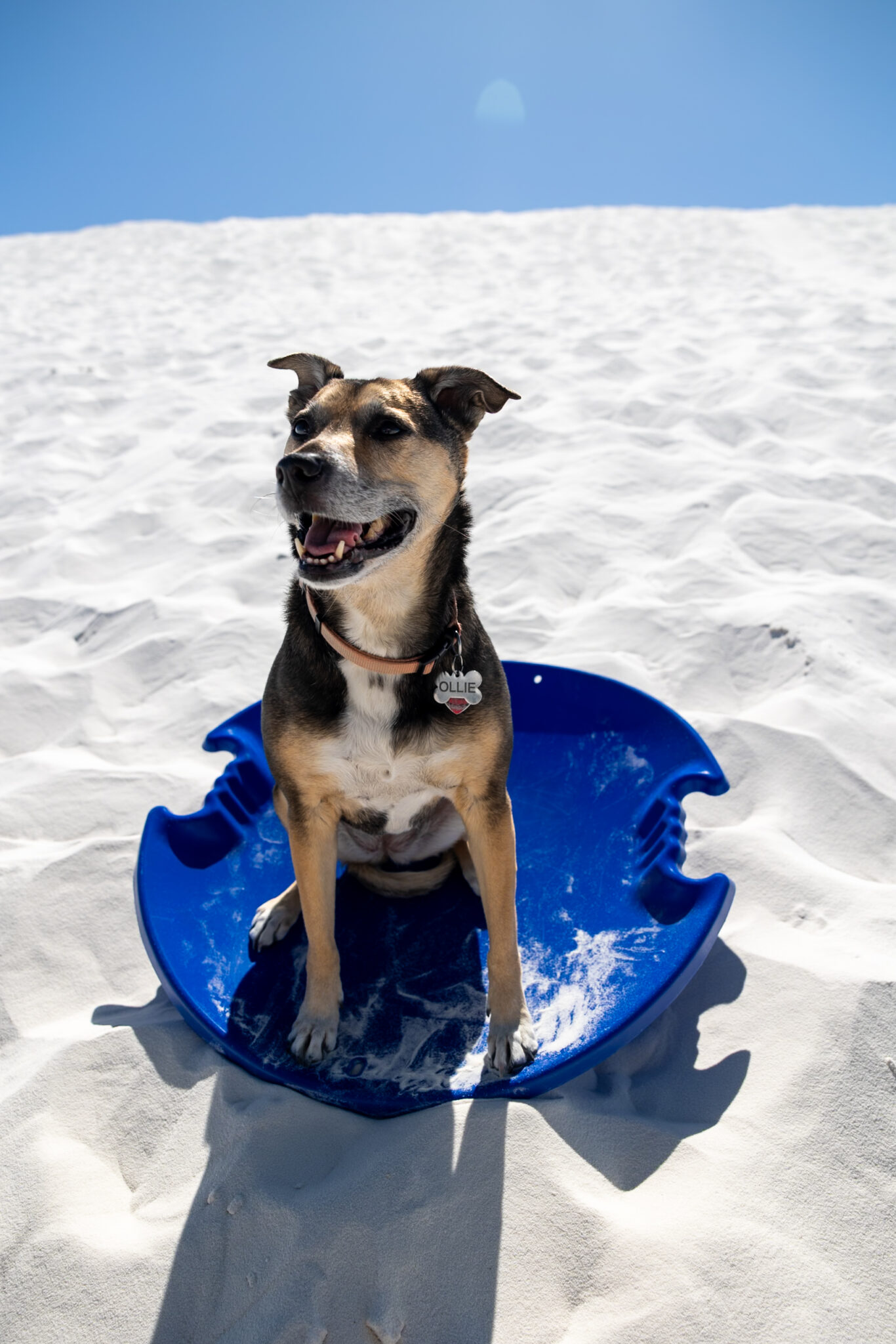 How to Sand Sled in White Sands National Park in 2025 | Scho & Jo