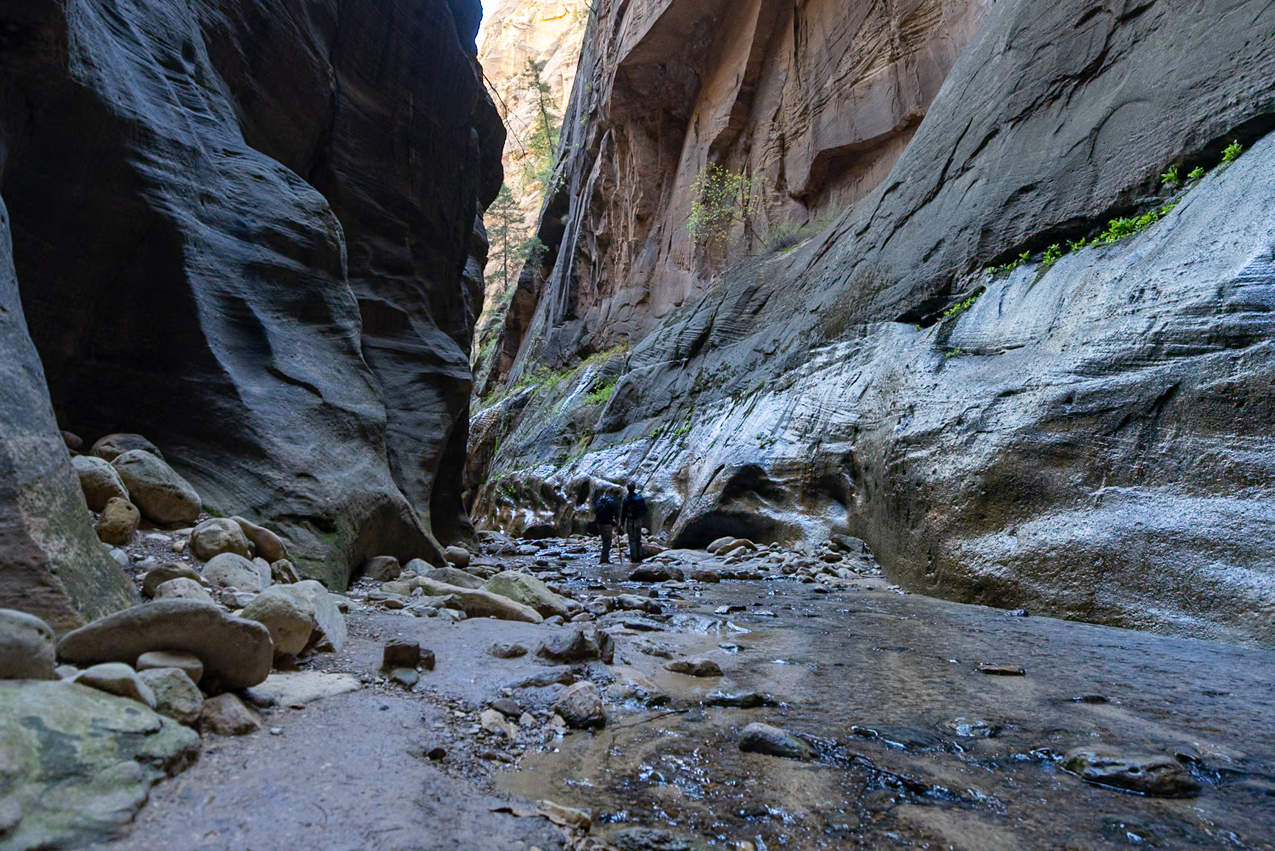 How to Hike the Narrows as a Beginner: Zion National Park | Scho & Jo