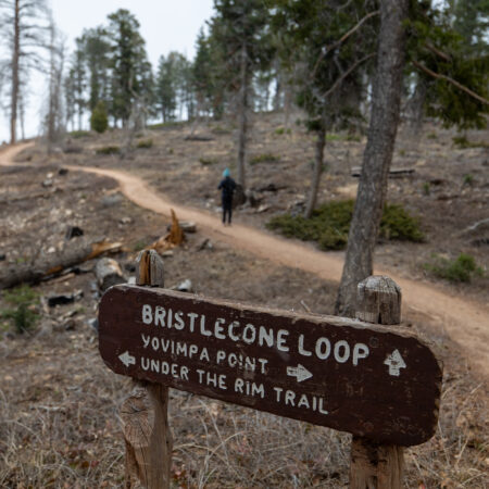11 Best Hikes in Bryce Canyon National Park in 2026