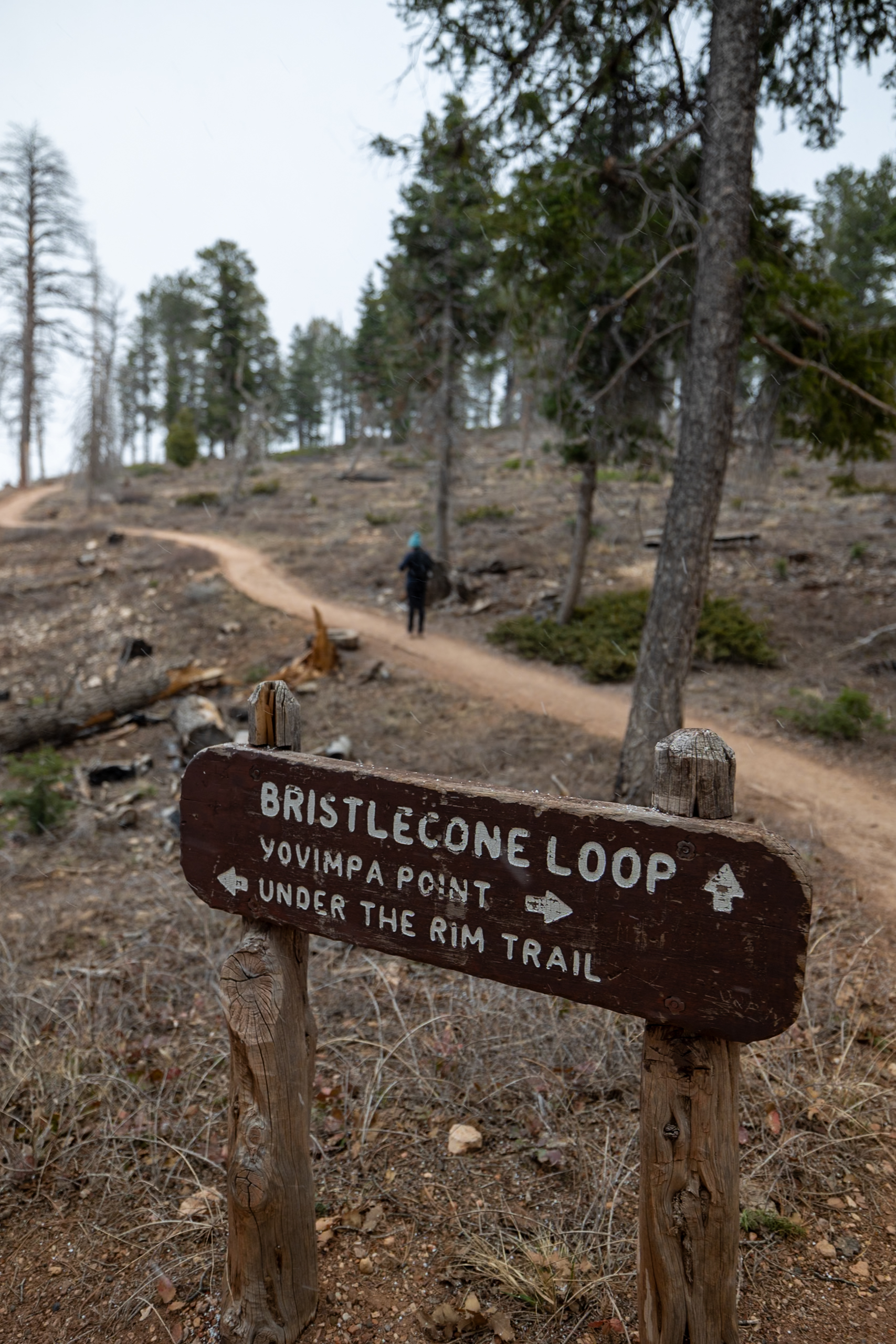 11 Best Hikes in Bryce Canyon National Park in 2025