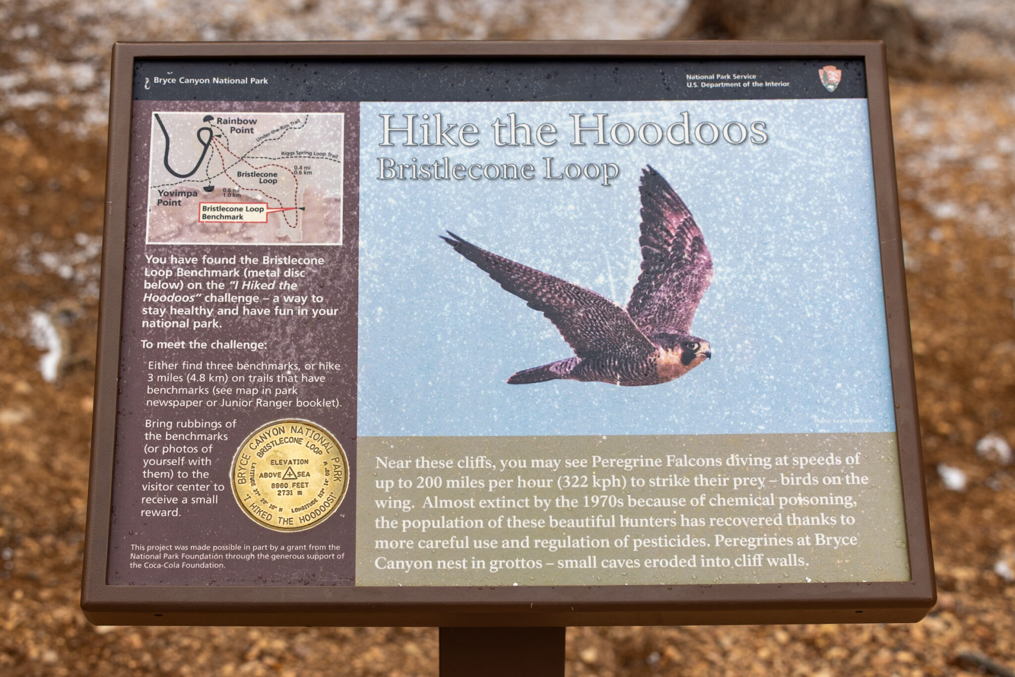 11 Best Hikes in Bryce Canyon National Park in 2025