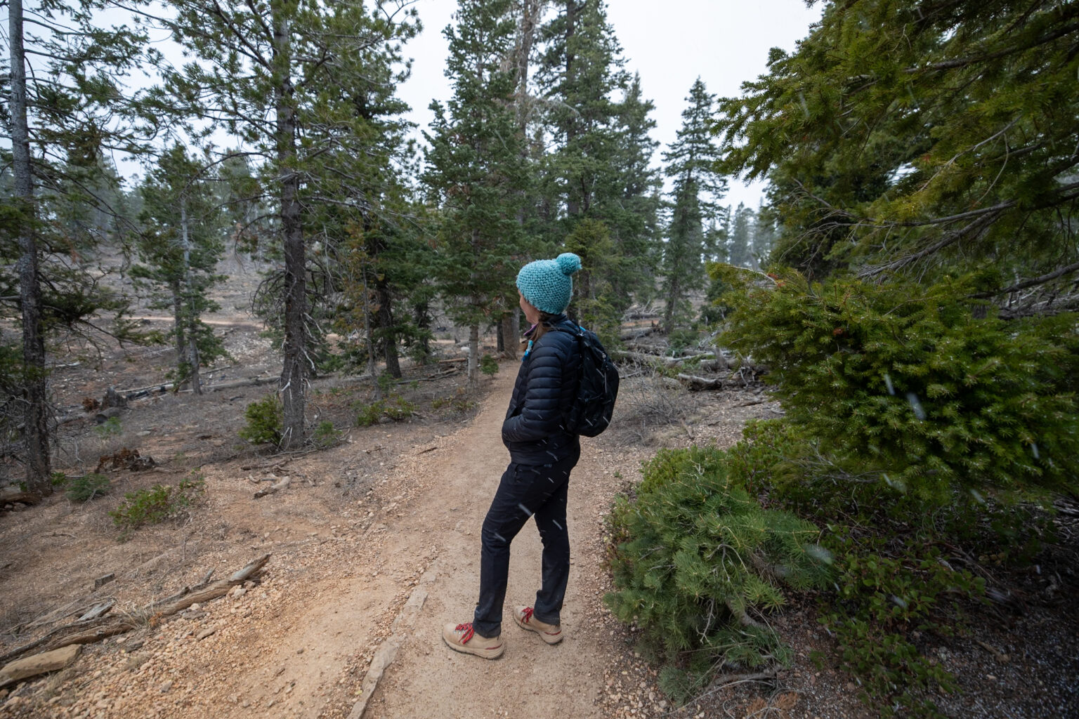 11 Best Hikes in Bryce Canyon National Park in 2025