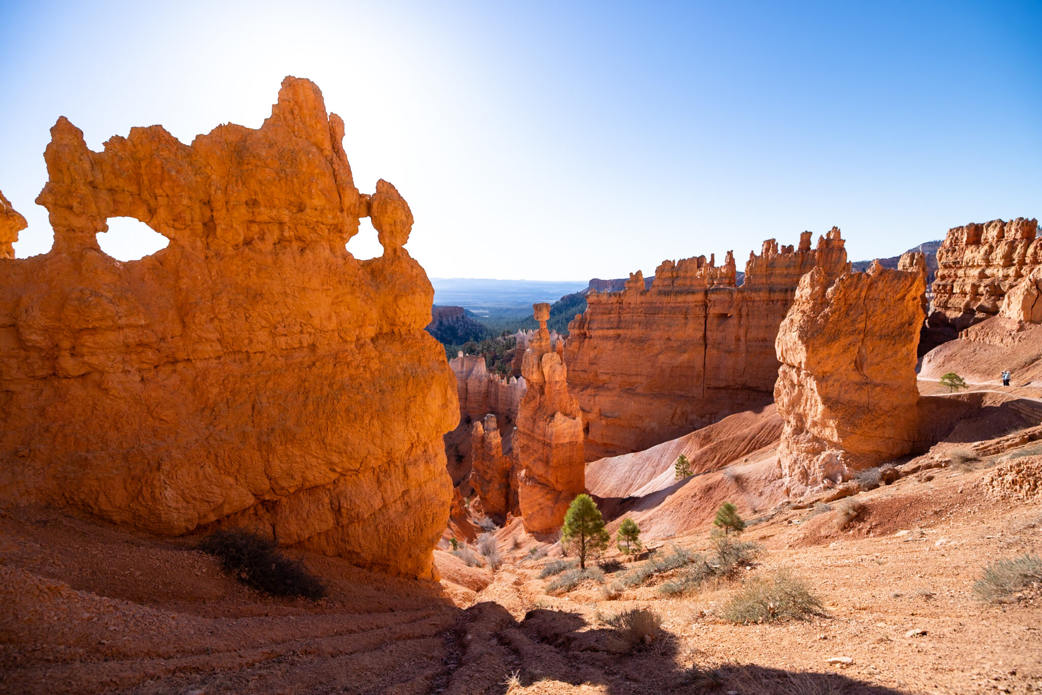 11 Best Hikes in Bryce Canyon National Park in 2025