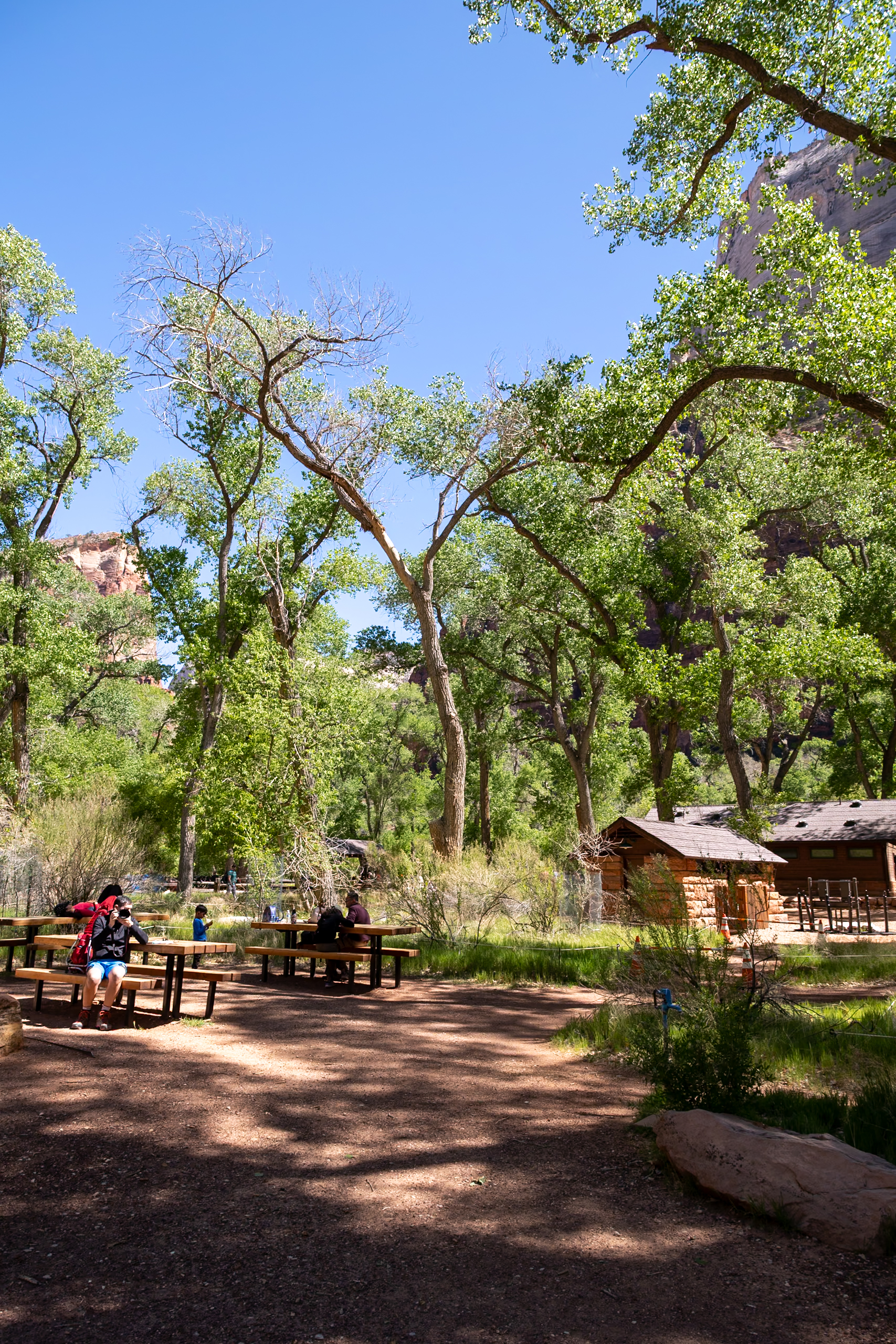 Our 9 Favorite Things to Do in Zion National Park Besides Hiking