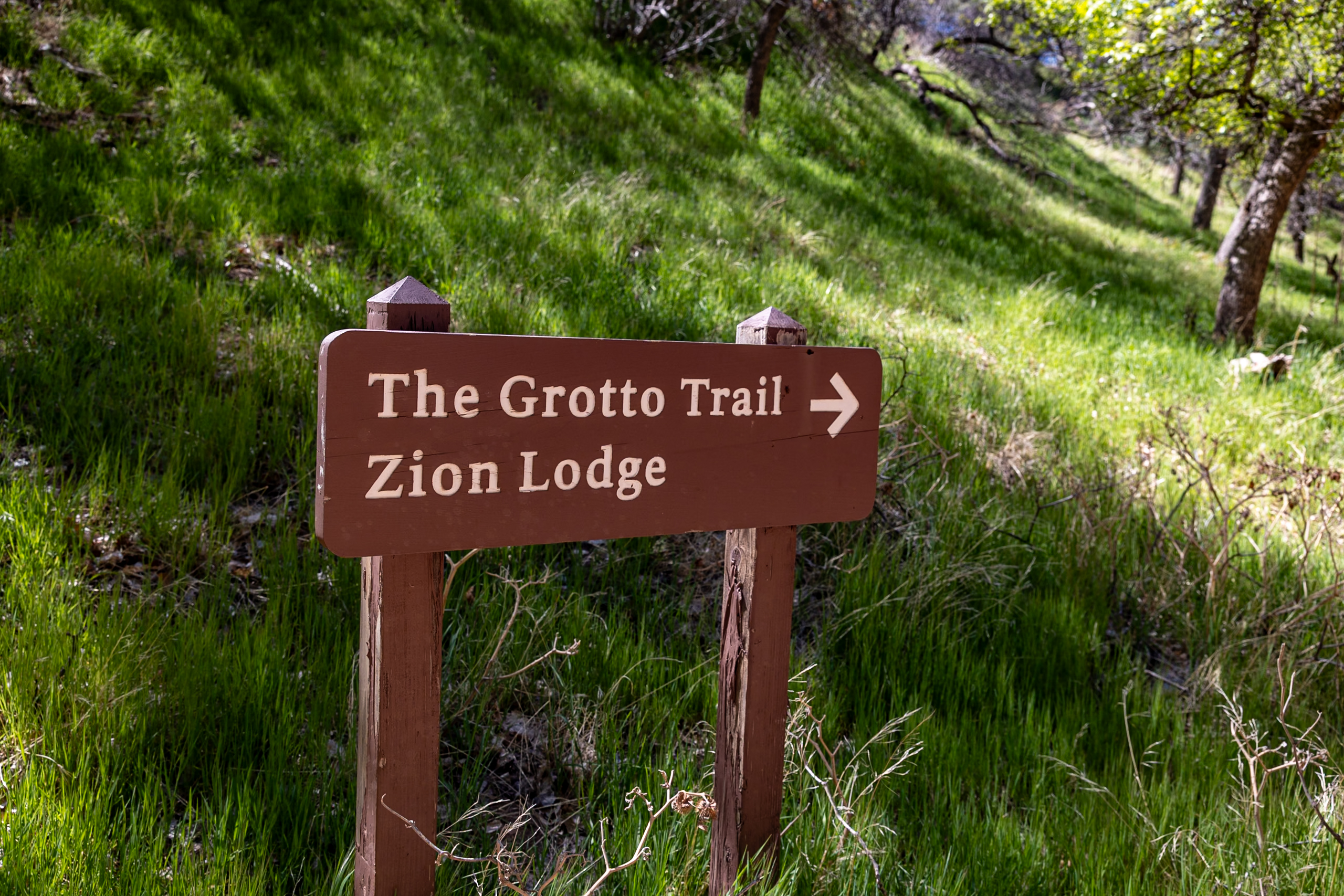 Our 9 Favorite Things to Do in Zion National Park Besides Hiking