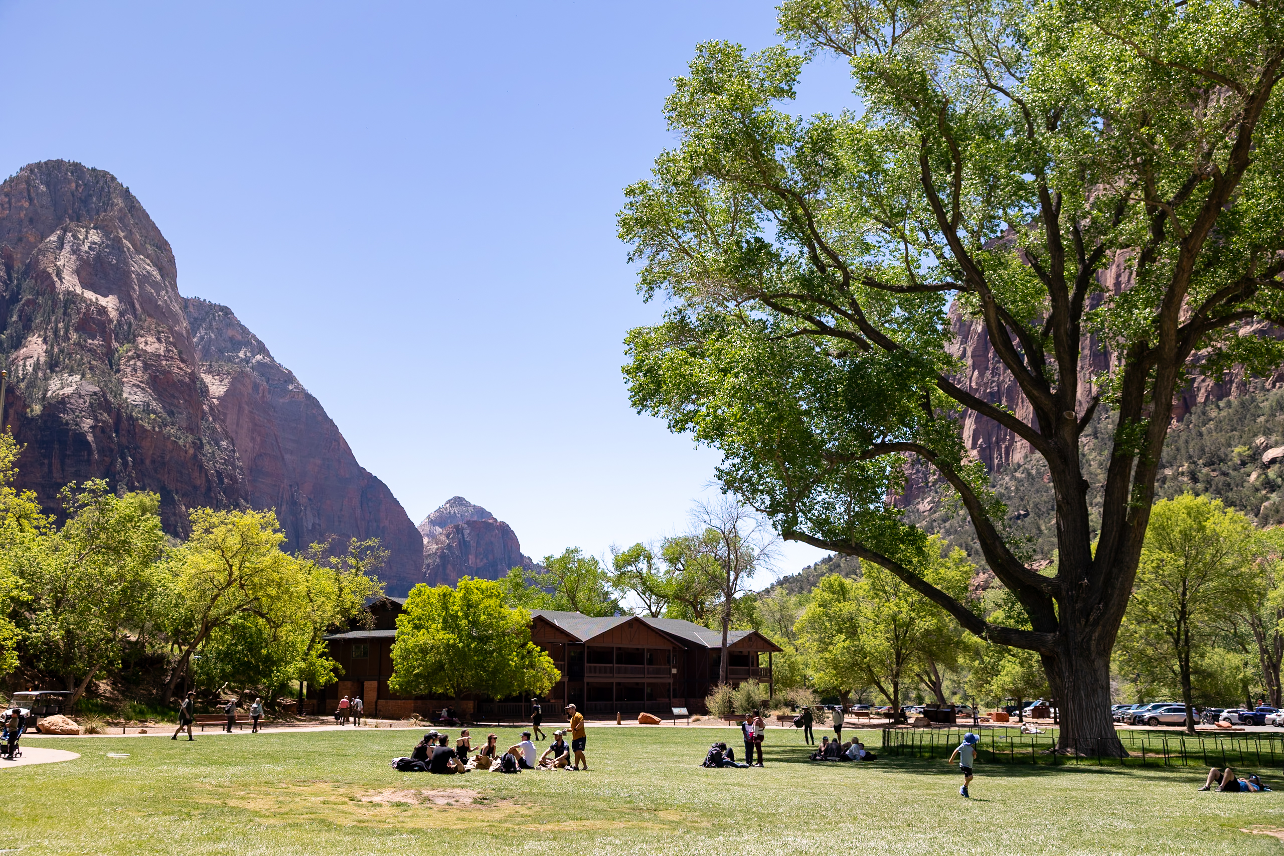 Our 9 Favorite Things to Do in Zion National Park Besides Hiking